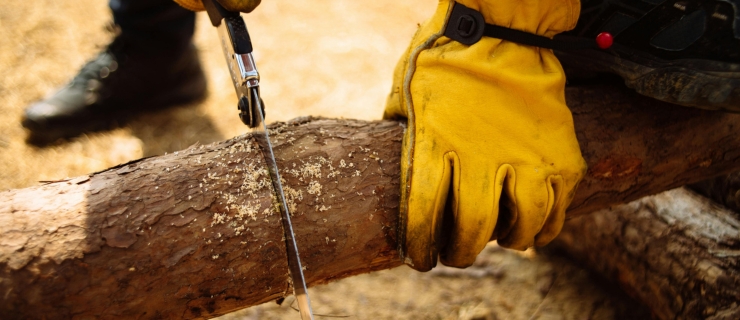 Tudo o que precisa de saber sobre luvas de proteção contra cortes ...